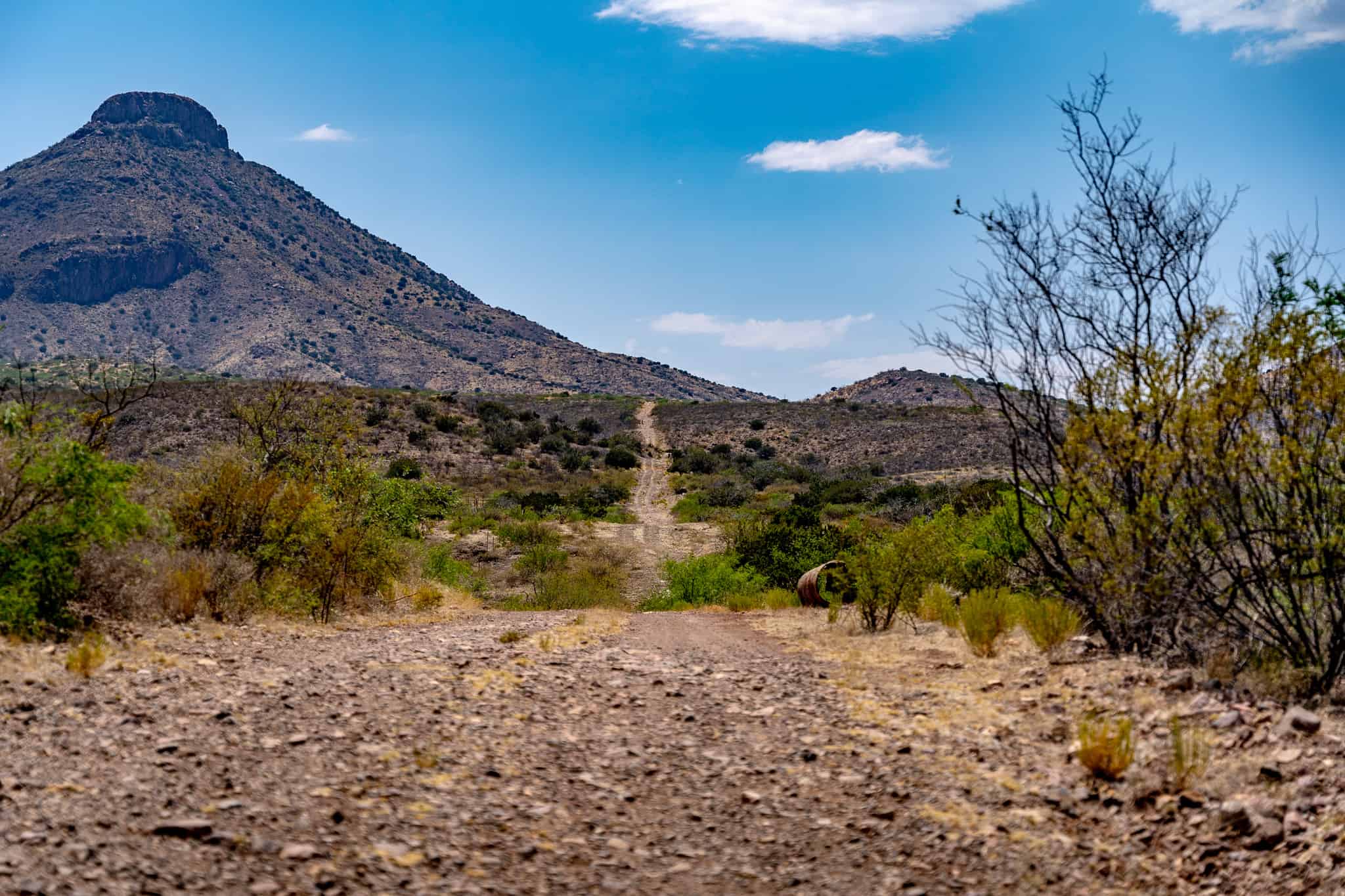 Stunning 40 Acre Parcel in the Mountains – Waypoint Land